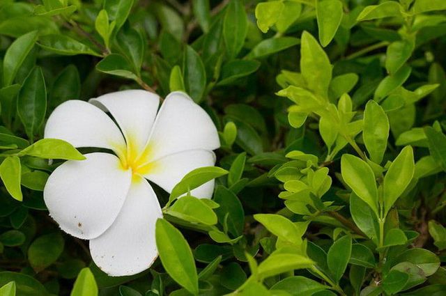 Vos Séjours à Bali avec Asia.fr