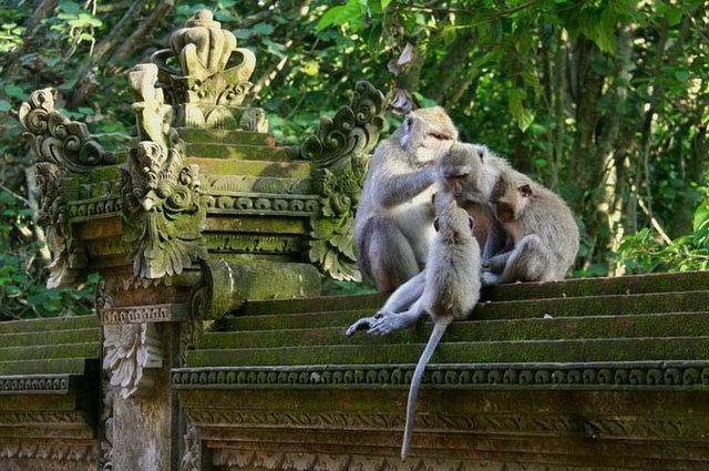 Vos Séjours à Bali avec Asia.fr